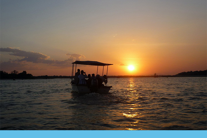 Wildlife Safaris | Wilkinson Tours